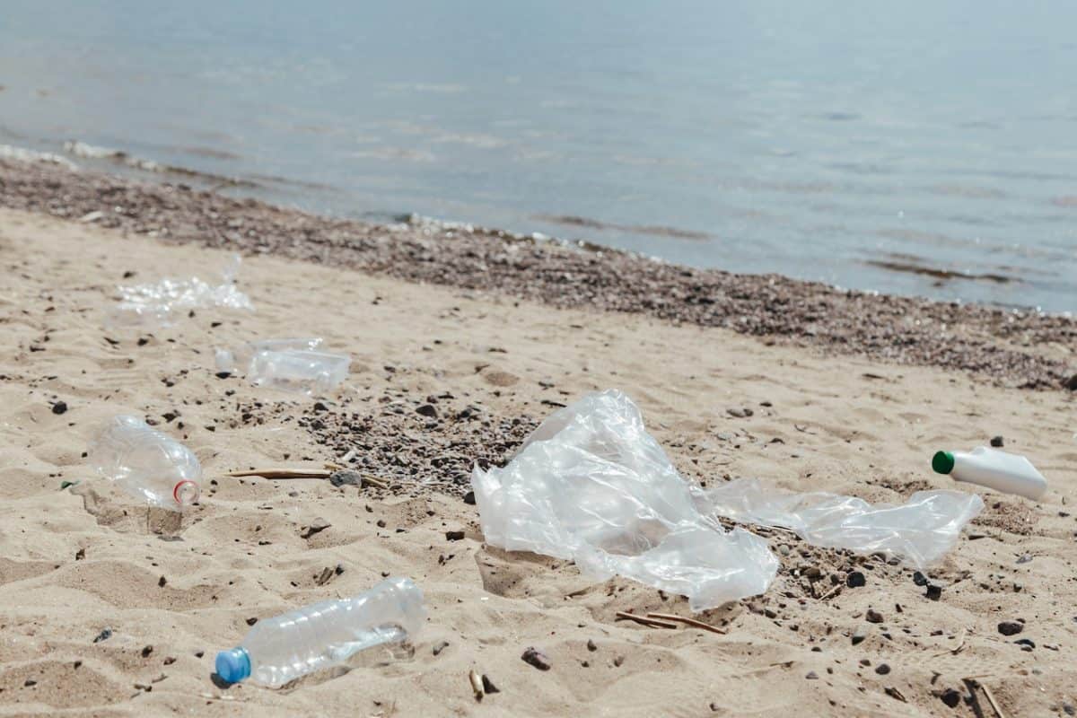 Ocean Plastic Pollution Facts - 15 Facts | Plastic Expert