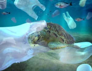 10 Ways To Reduce Plastic Pollution In The Ocean | Plastic Expert